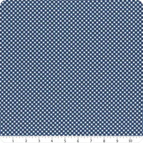 Moda Fabrics Raspberry Summer - Blueberry Gingham – Esthersfabrics